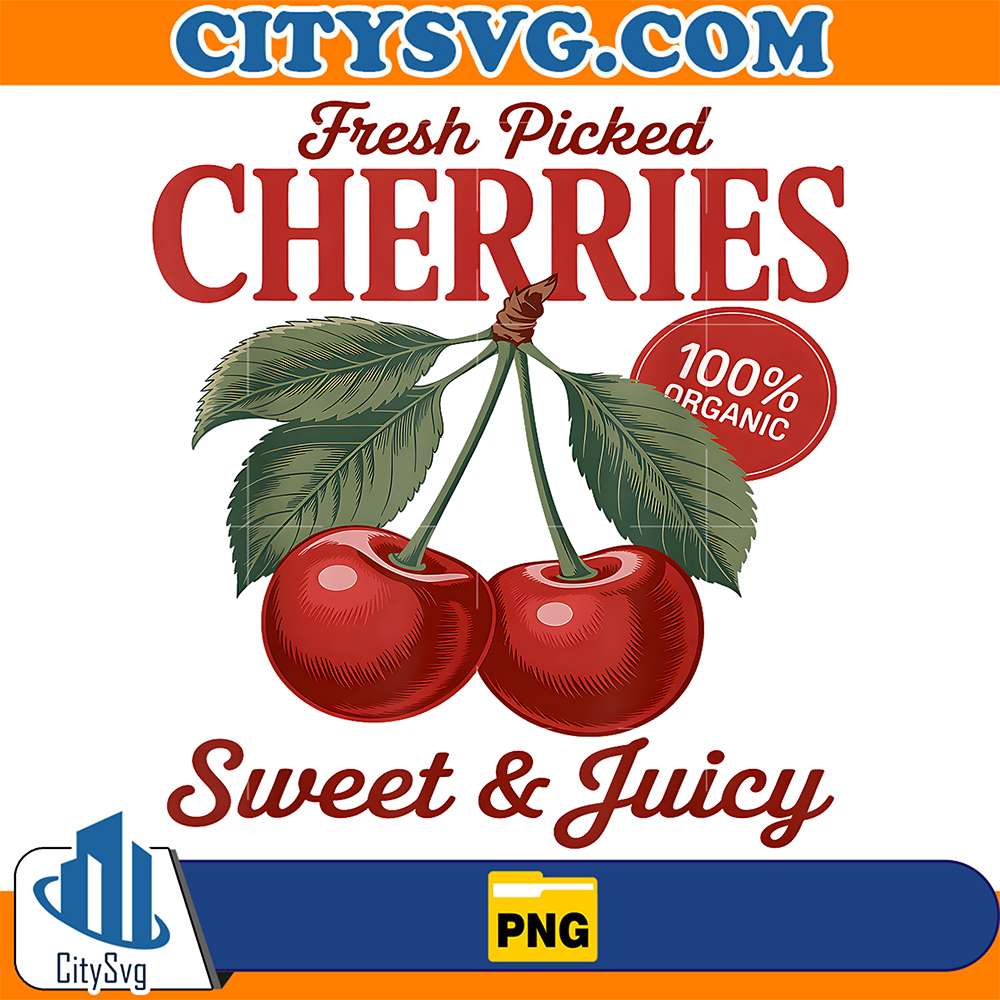 Fresh Picked Cherries Sweet And Juicy Png – CITYSVG